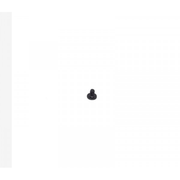 LAPTOP / NOTEBOOK SCREW CM2*3 ( For M.2 SSD ) - 2PCS